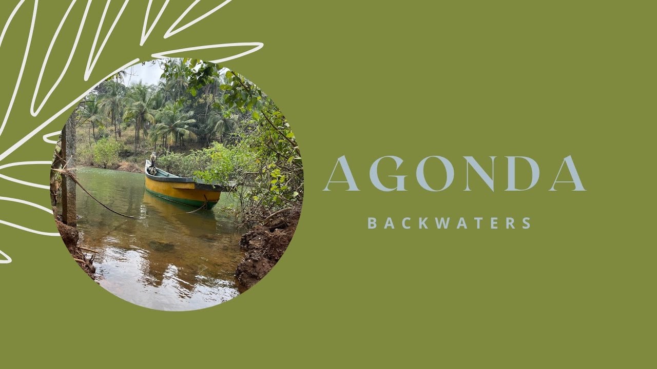 Agonda Backwaters GOA INDIA #india - YouTube