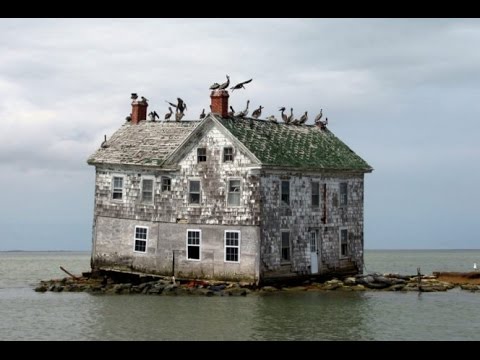 Narcissists Create Unstable Homes - YouTube