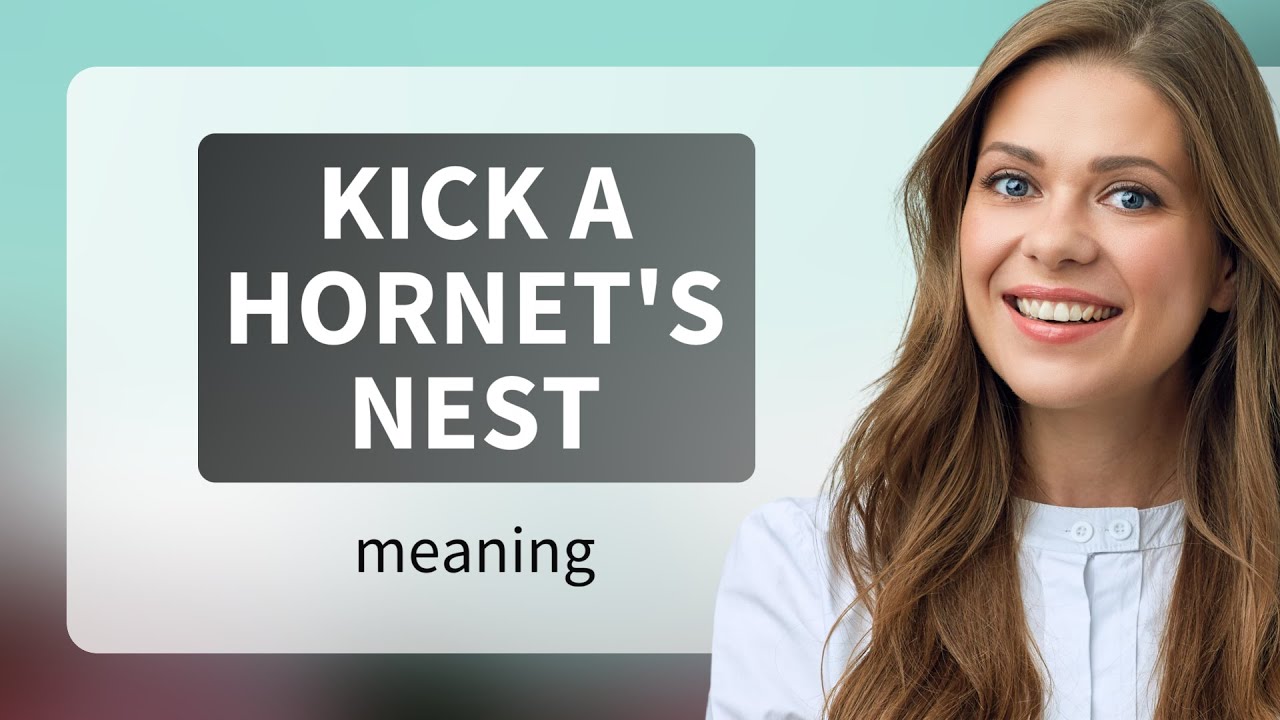 Navigating Troubles: The Meaning of "Kick a Hornet's Nest" - YouTube
