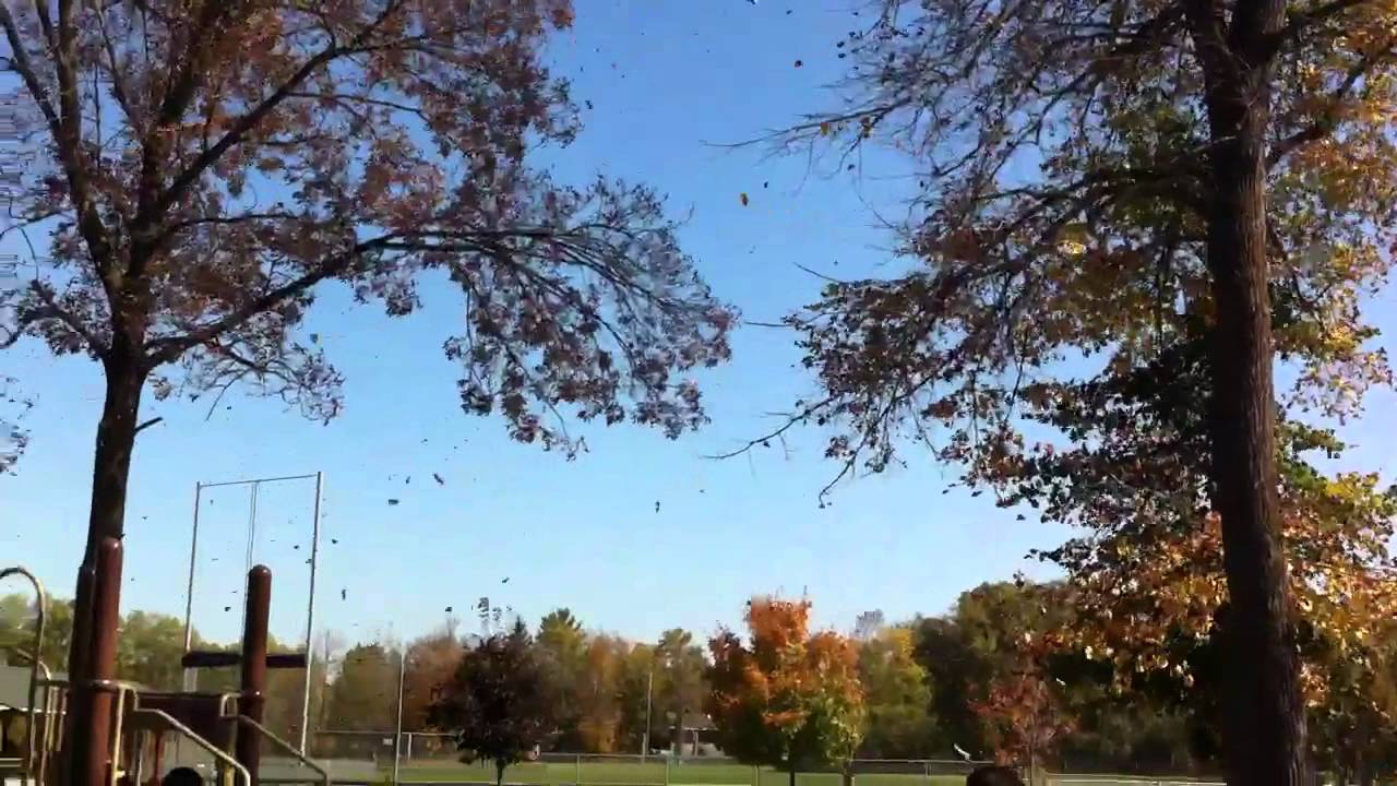 andersonhscl@gmail.com's video - YouTube