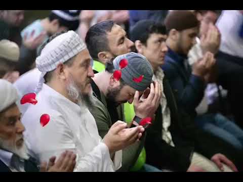 (Ajr loyihasi) Sardor Rahimhon