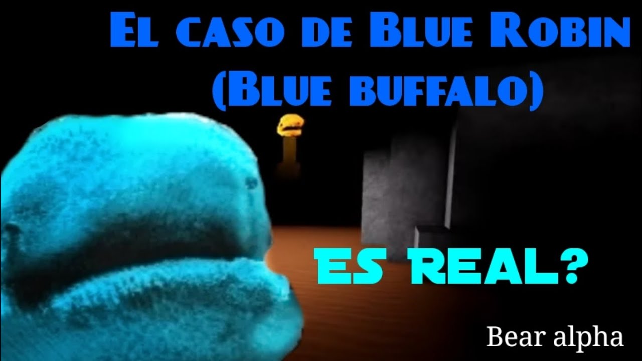 El caso de Blue robin (Bear alpha) - YouTube