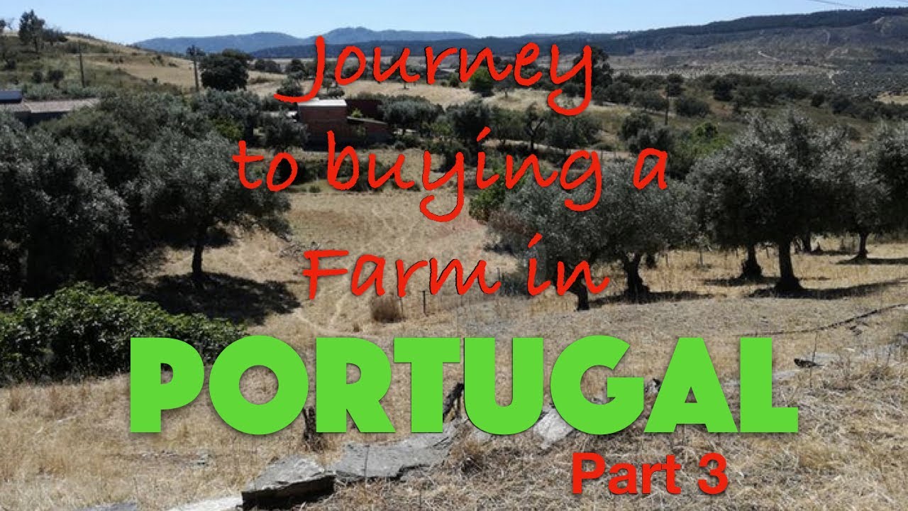 Journey to buying a Farm in Portugal (part 3) - YouTube