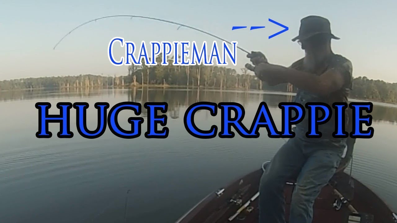 [12 INCH+] Crappies with the Crappieman! Lake Murray 2019 Crappie ...