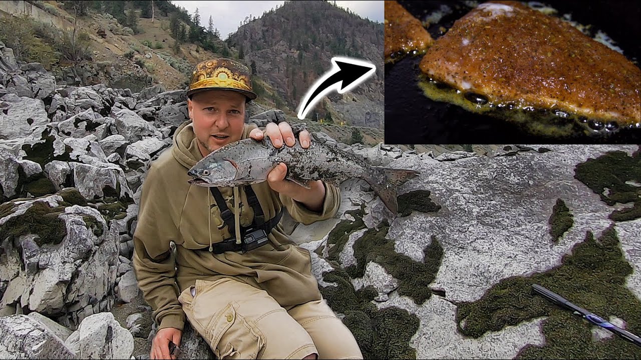 Jack Spring Salmon Catch and Cook - YouTube