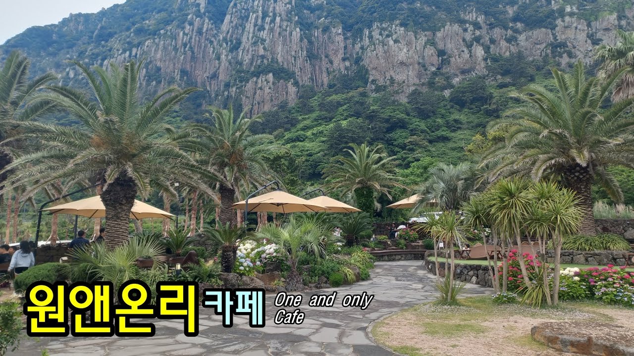 원앤온리 카페(제주도) / ONE and ONLY cafe ~!!! - YouTube