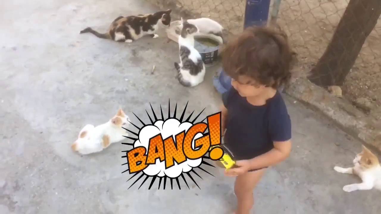 Cat and baby have a very funny time - Funny fun children play with cats ...