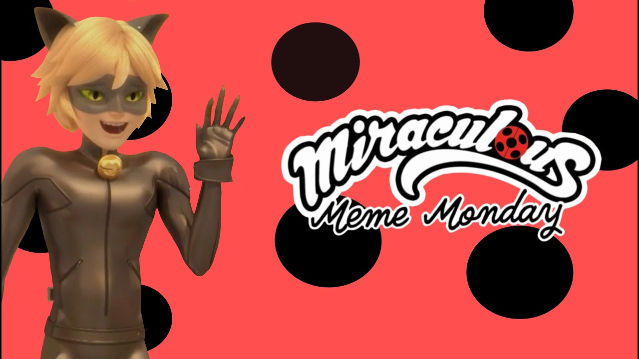 Miraculous Monday Meme Review #22 🐞 - YouTube