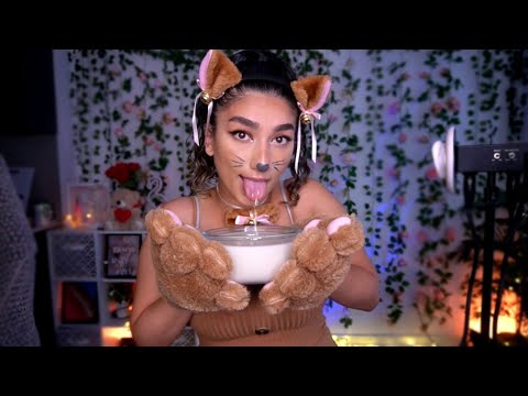 ASMR | Kitty Drinking Your Milk🥛(Pets & Scratches You Roleplay)🐈