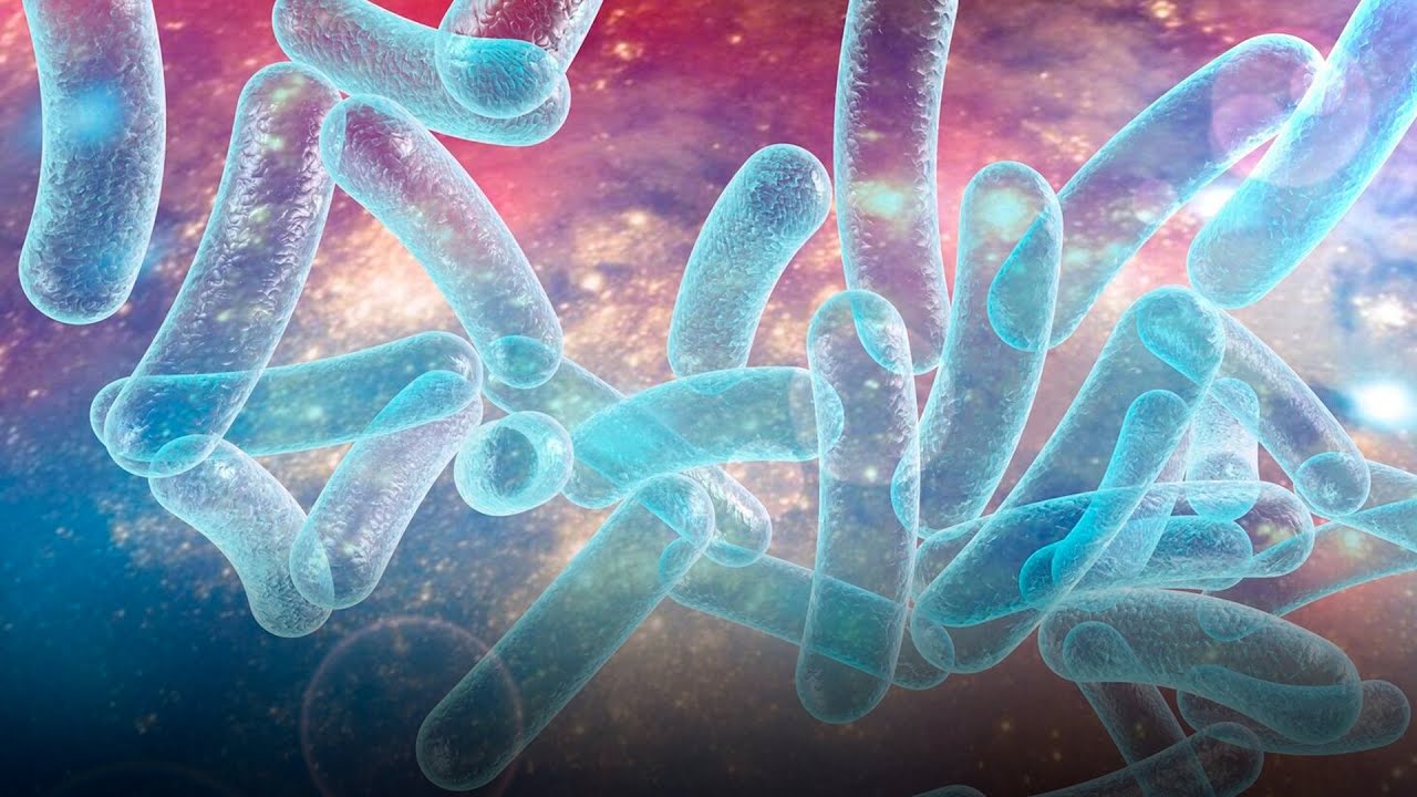 Syndromic Testing for Infectious Diseases: Multiplex Panels for ...