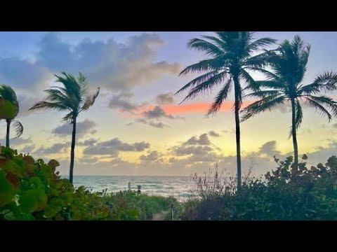 One sunny day - YouTube