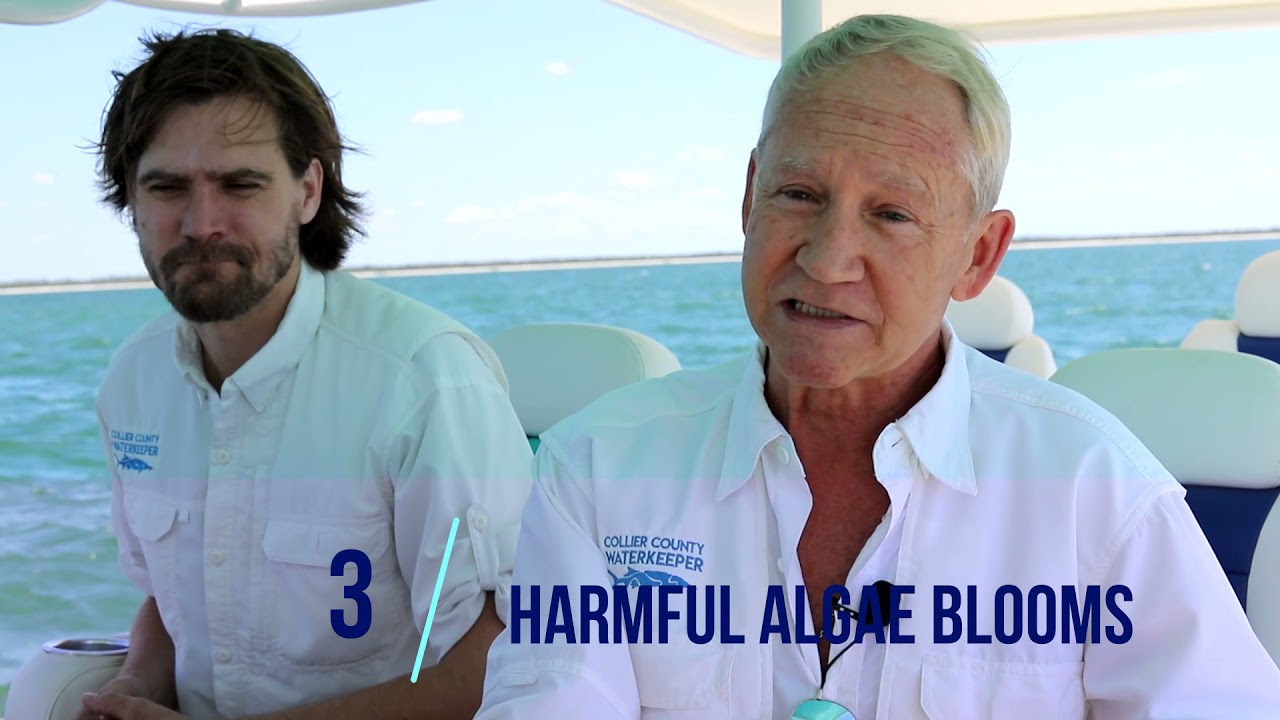 Filmmaker KC Schulberg is Collier County's new waterkeeper