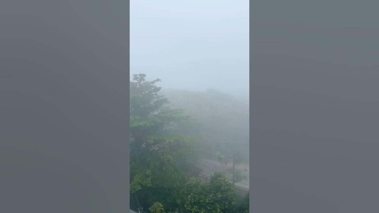 ဆောင်းမနက်ခင်းလေးတစ်ခု Peaceful Morning 🥰🥰🥰 Youtube