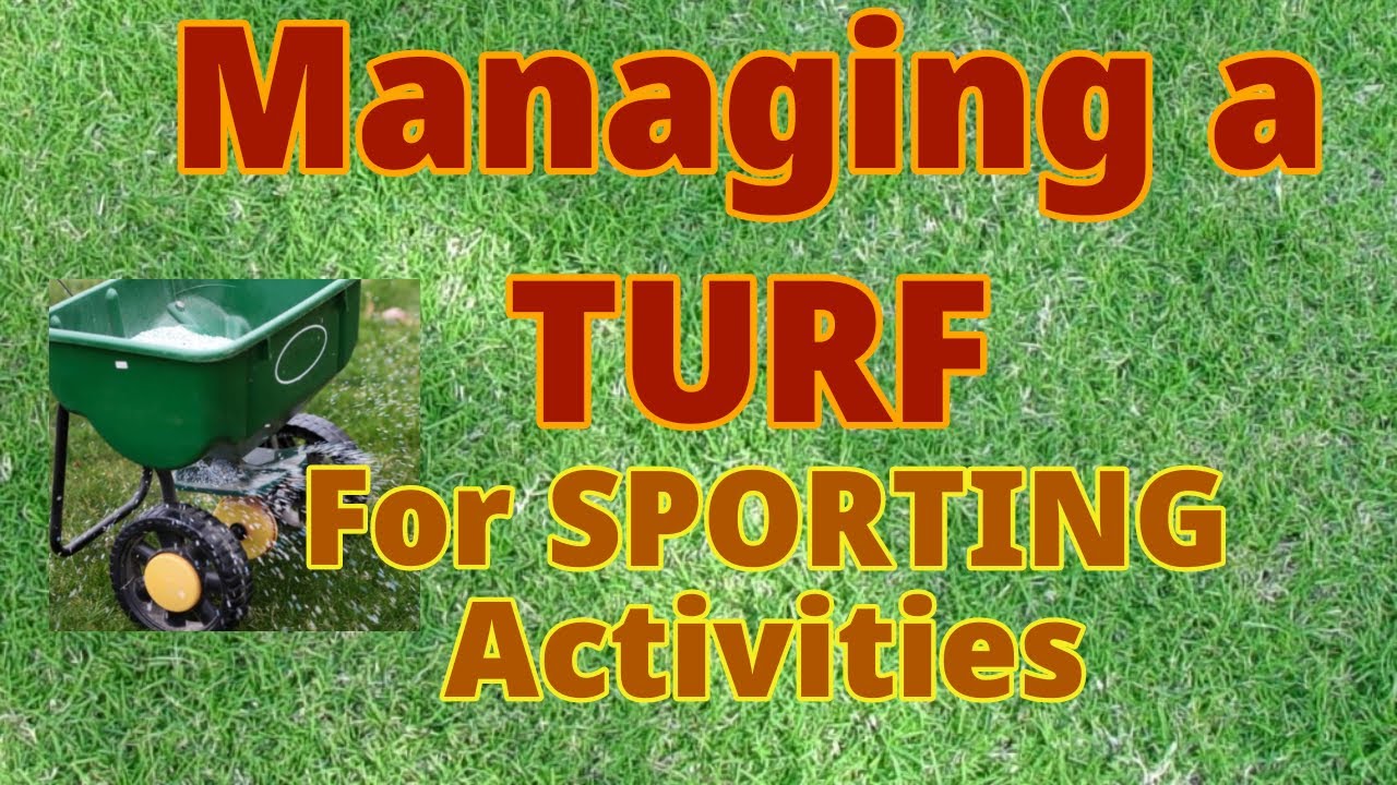 MANAGING a TURF for SPORTING ACTIVITIES @MalachiMRowe1 - YouTube