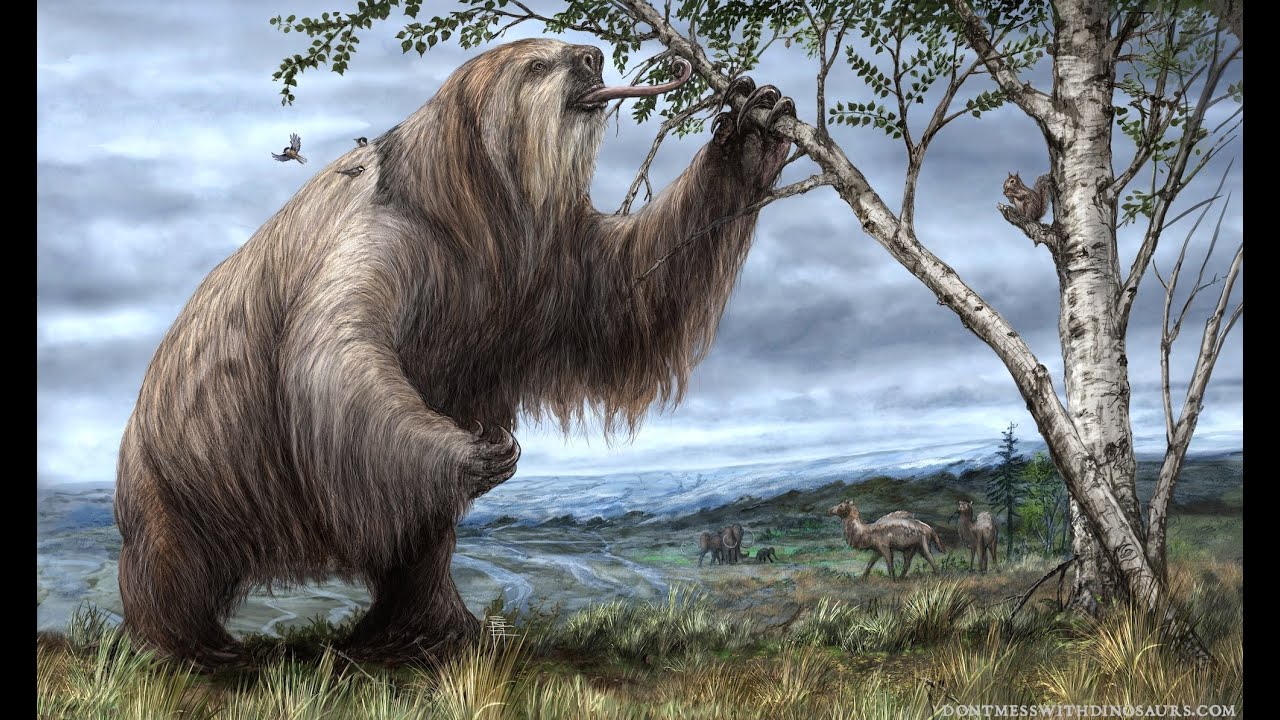 Megatherium: The Giant Sloth #facts #science #iceage #cenozoic # ...