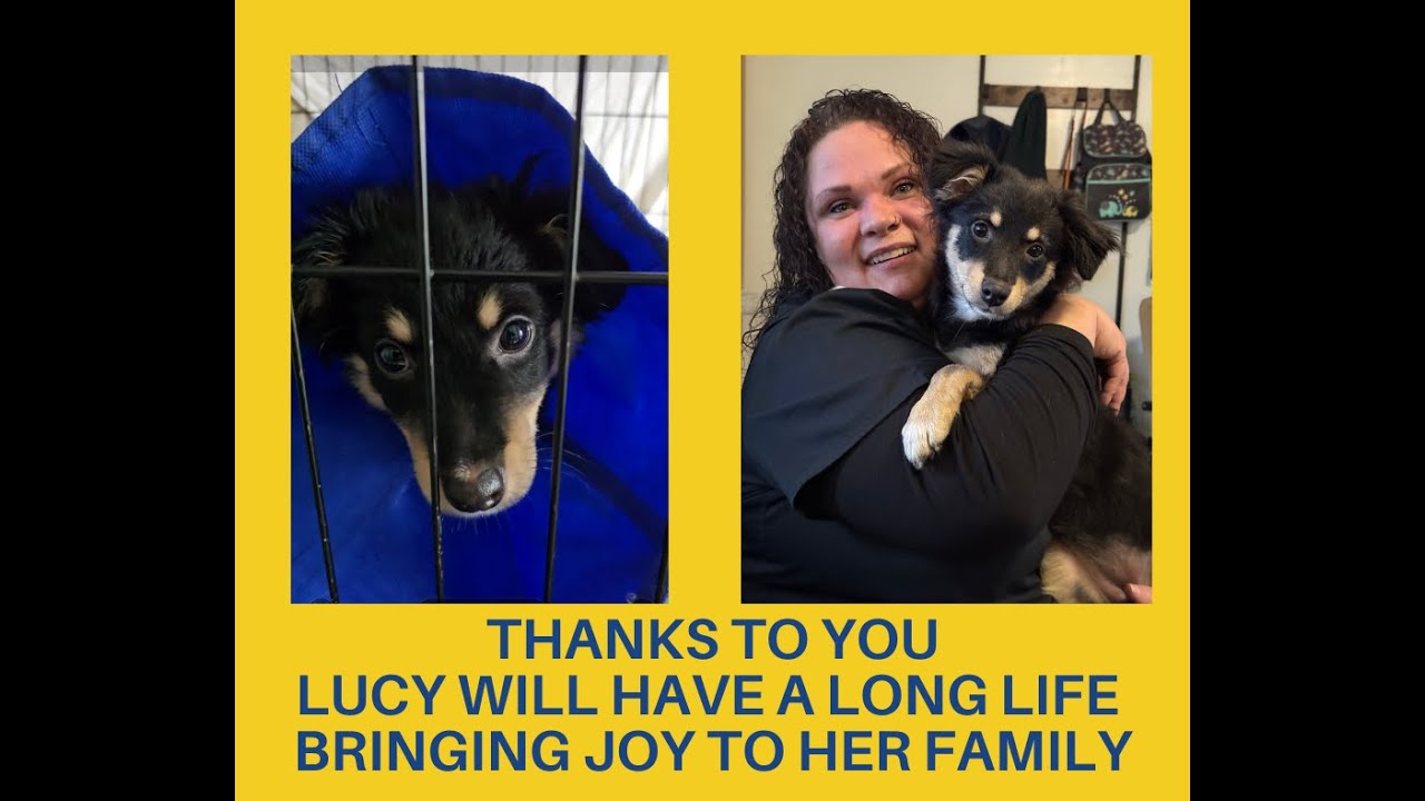 Voice of Gratitude, Lucy: Ellie's Rainy Day Fund - YouTube