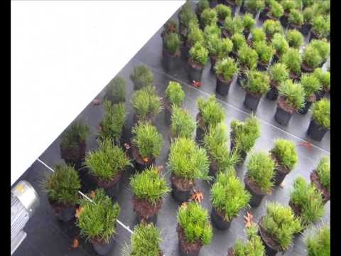 1000 eilers - YouTube