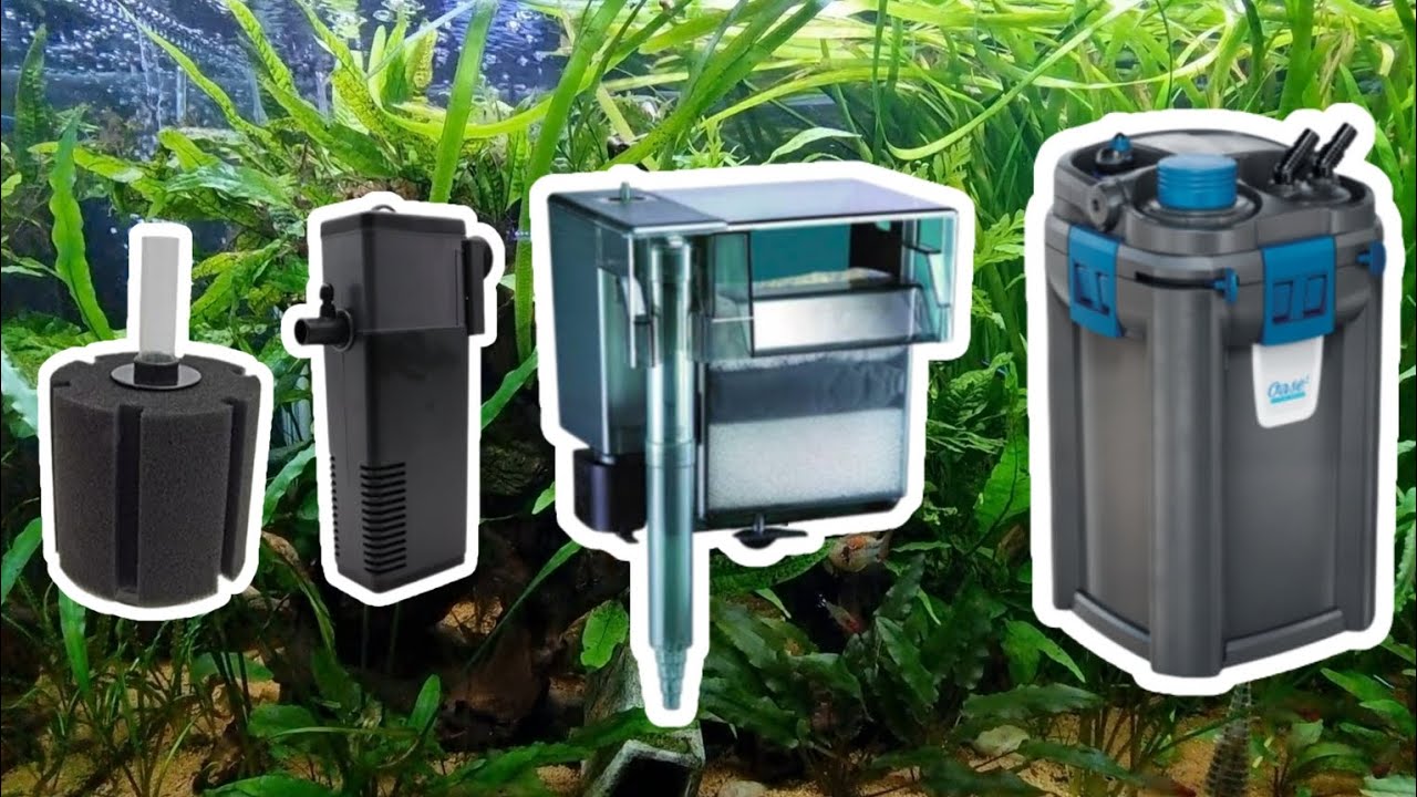 The BEST FILTER for a PLANTED TANK! - YouTube