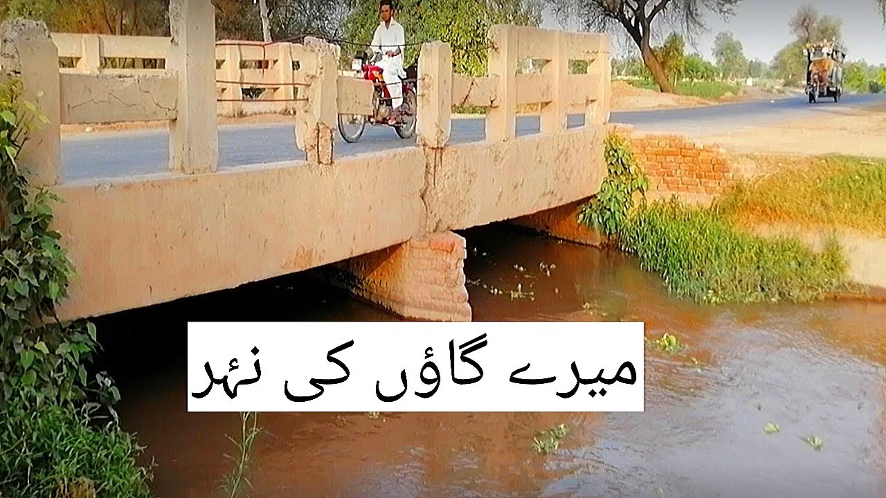 Pakistani Punjab Village Life Near Canal | Daily Rural Life In Pakistan ...