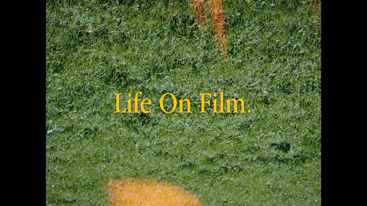 Life On Film - Sony FX30 + Film Emulation - YouTube