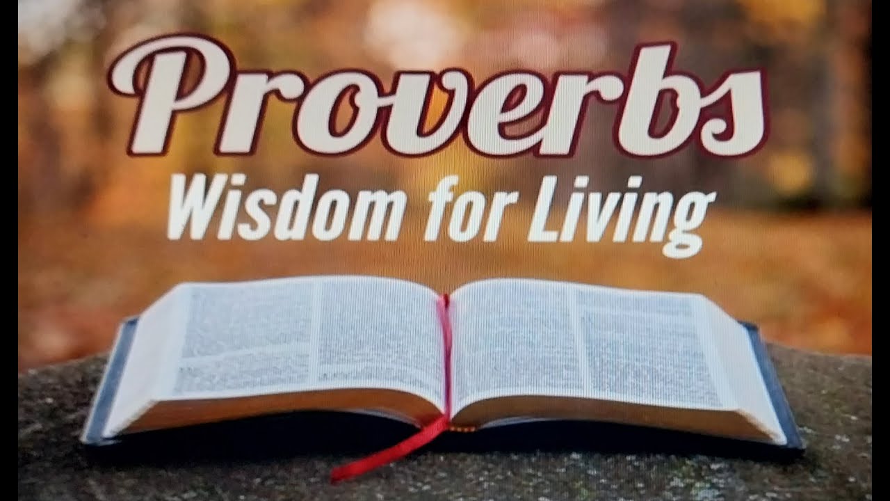 Proverbs Wisdom for Living: Proverbs 20 - YouTube