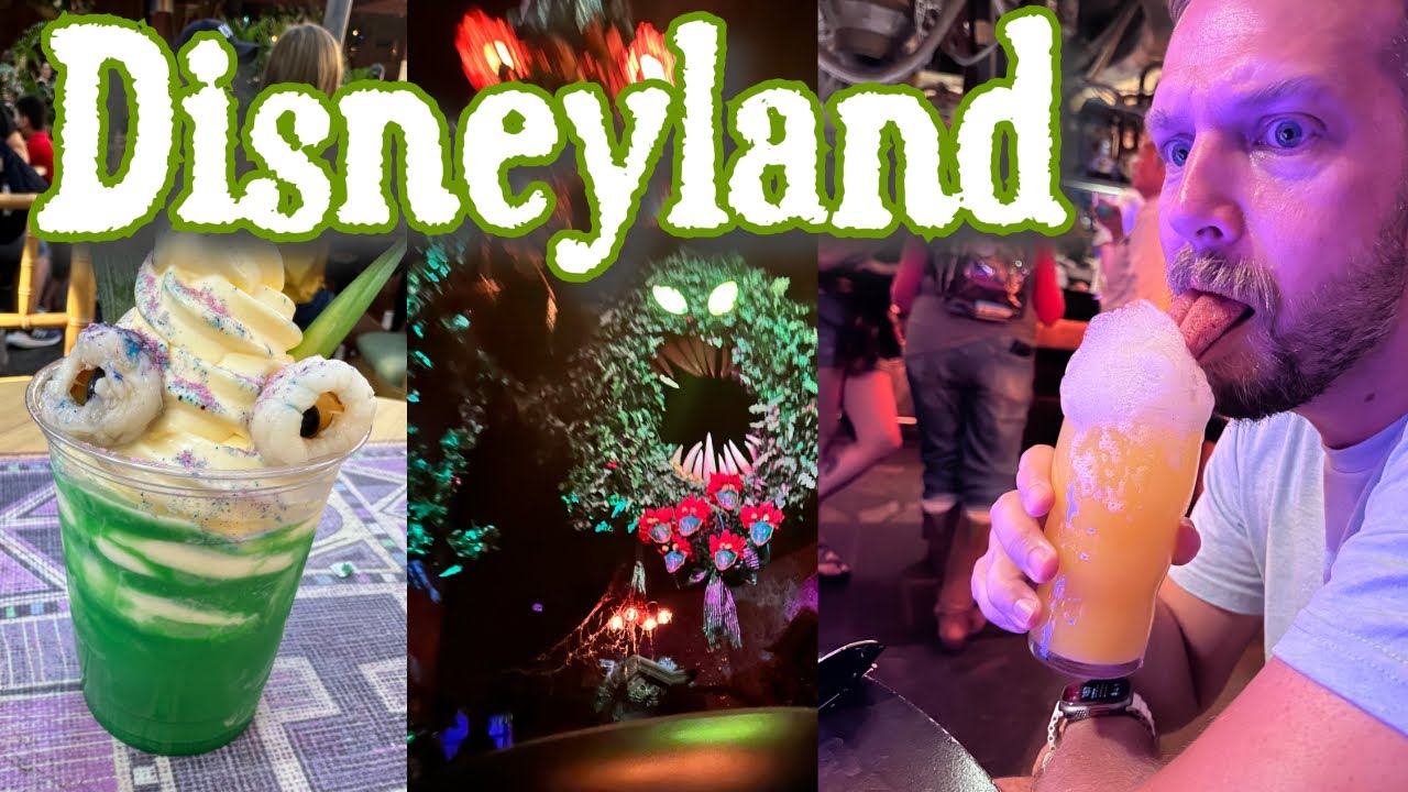 Thrilling time at Disneyland! #flackfam - YouTube