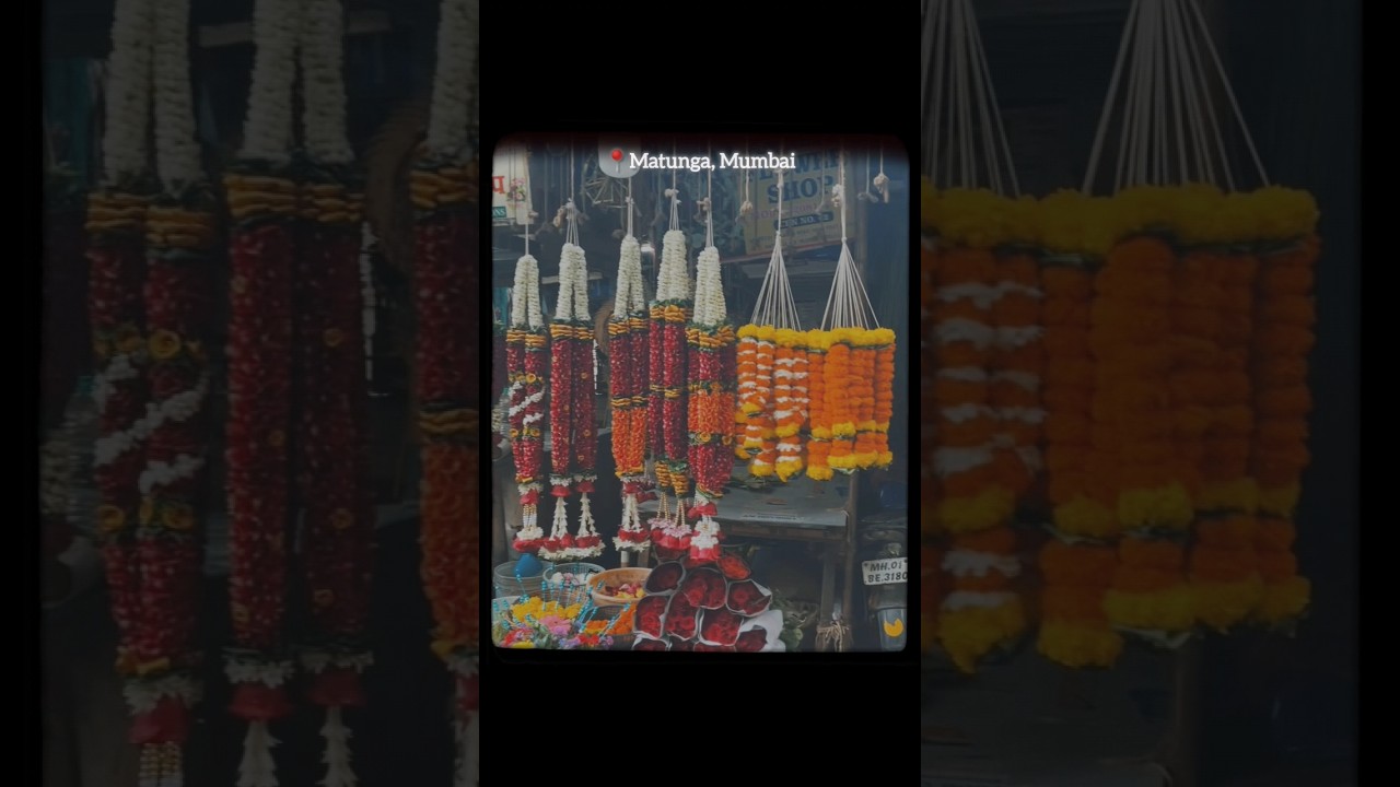 Matunga Mumbai | Little South India in Mumbai | Matunga Food ...