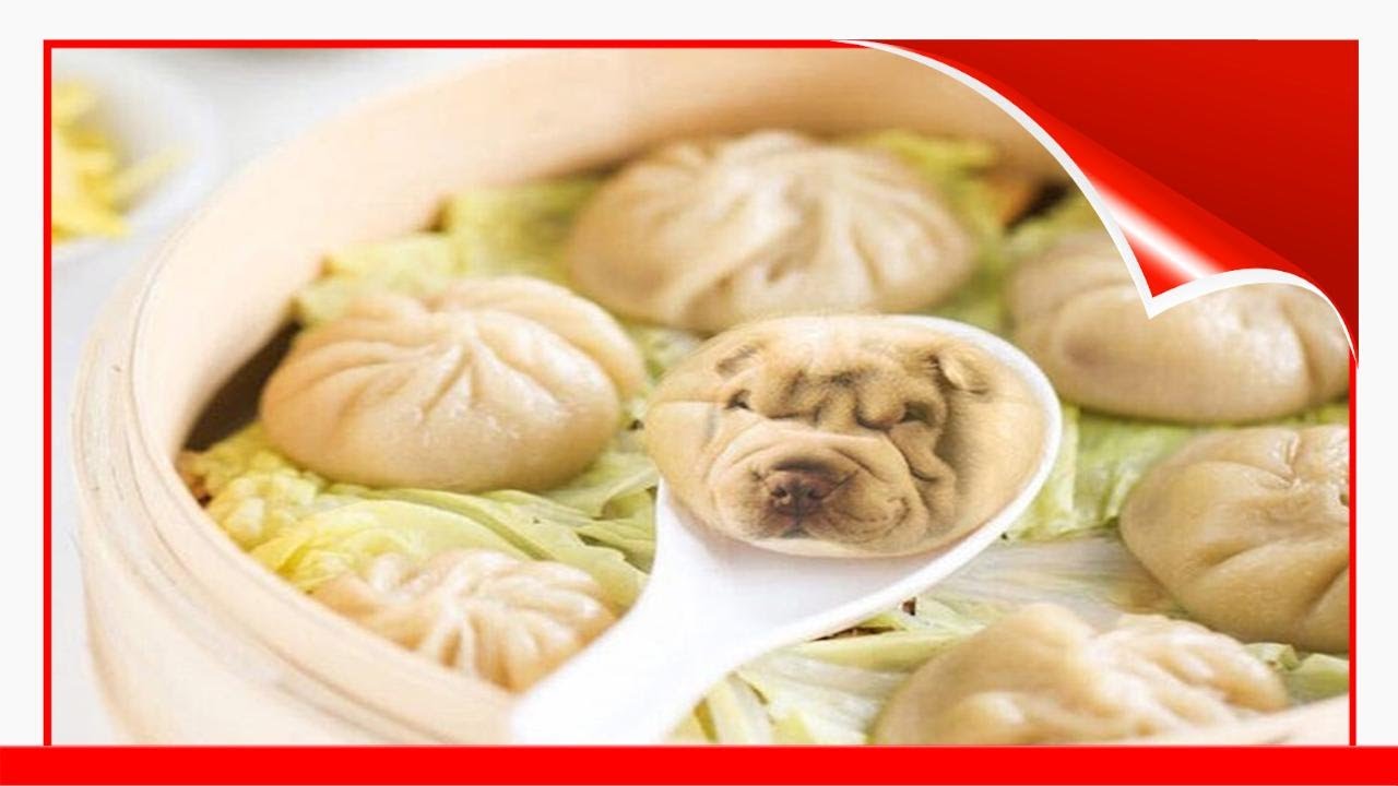 Dog Faces Photoshopped Into Food Photos And ItS Hilarious 😃 - YouTube