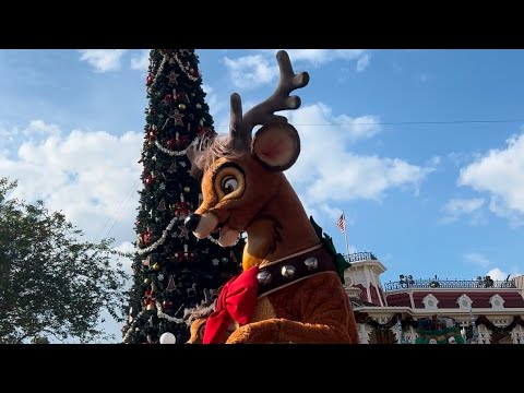 Reindeers dancing - YouTube