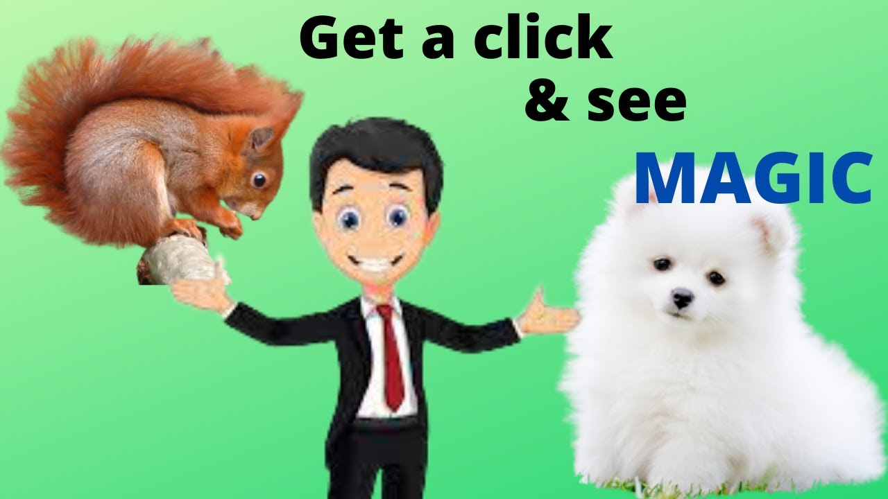 Funny man, squirrel & dogs video - YouTube