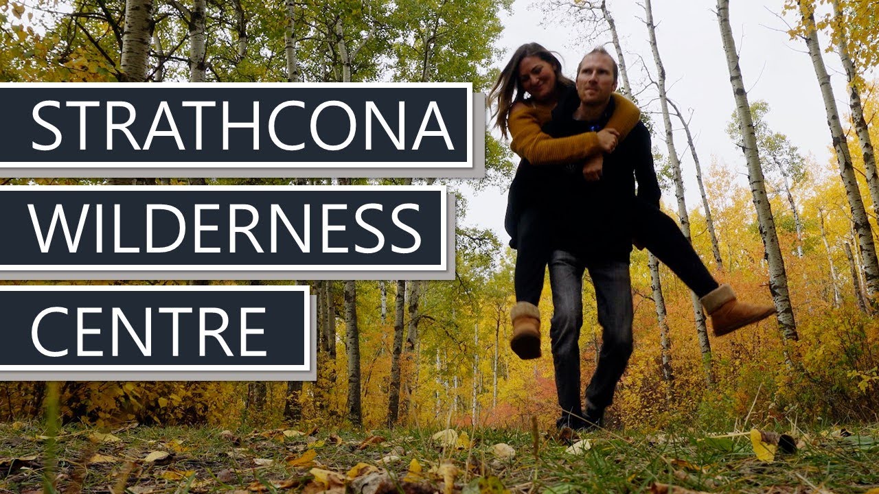 Touring the Strathcona Wilderness Centre | Easy Day Trips from Edmonton ...