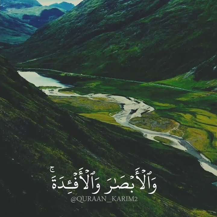 الشكر لله ️‍🩹 قل هو الذي أنشأكم وجعل لكم السمع والأبصار والأفئدة