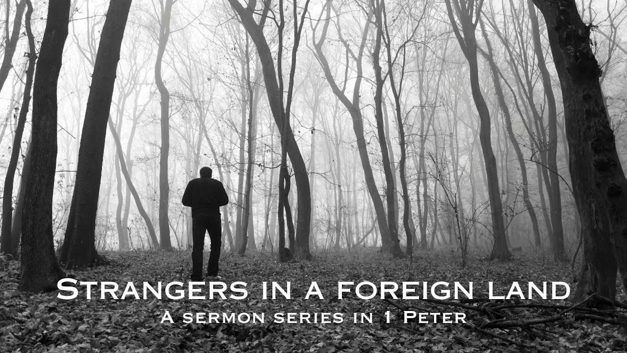How Can I Suffer Well?- Sermon - YouTube