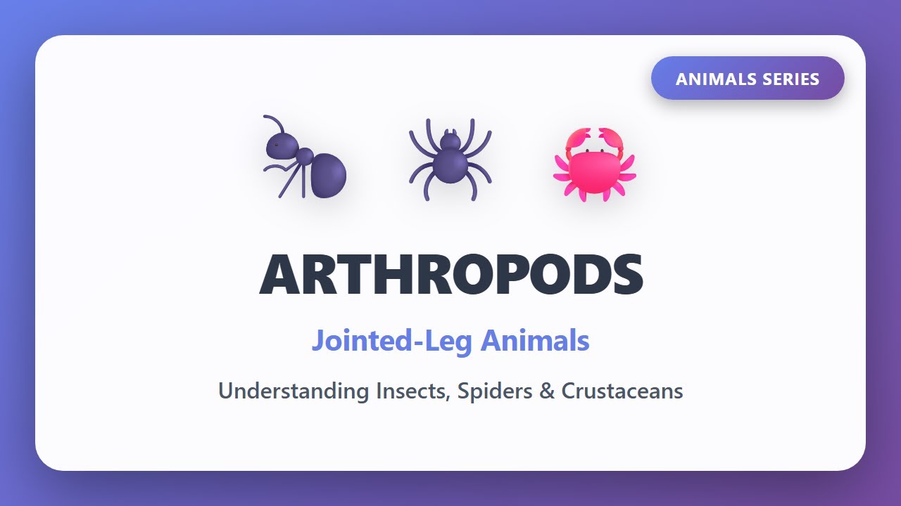 Arthropods Explained: Insects, Spiders & Crustaceans | Animals Series ...