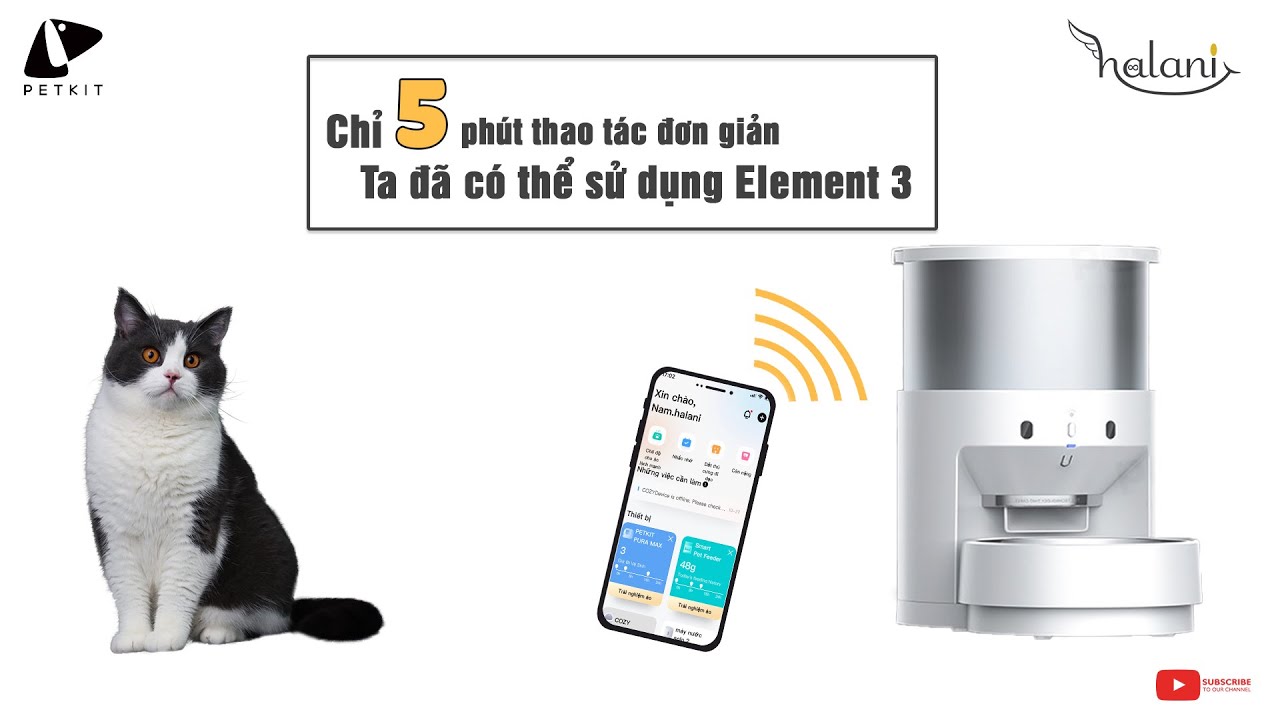 Hướng Dẫn Sử Dụng Máy Ăn ELEMENT 3 [ PETKIT.VN] #pet #petkitvietnam # ...