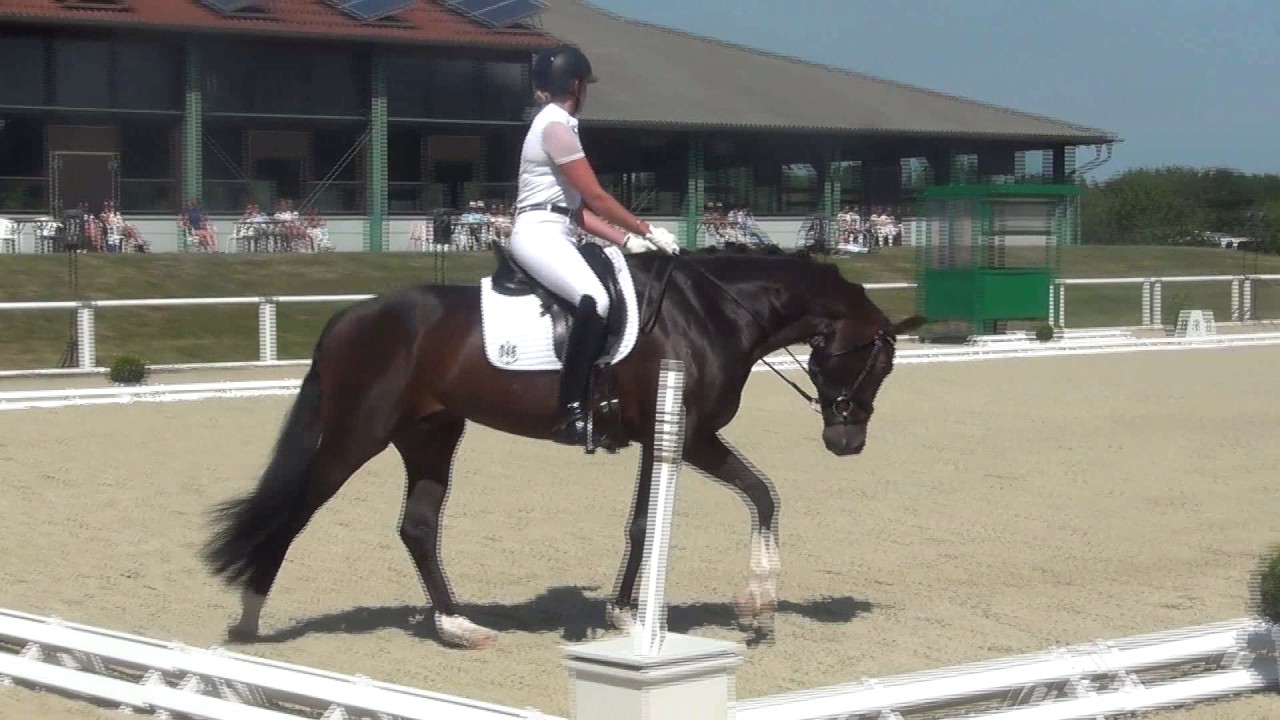 Fürst von Soest & Emily Charlotte Seibel - YouTube