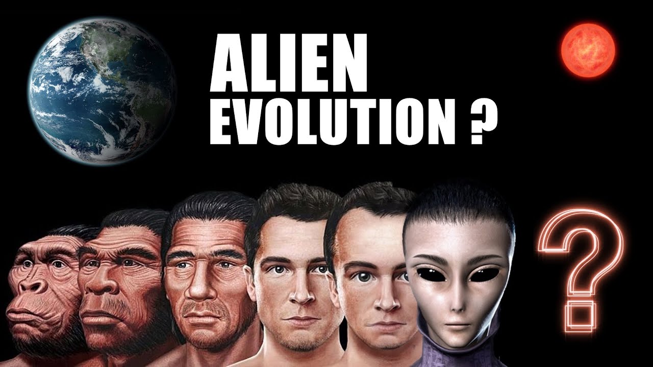 From Ape to Human to Alien | Future Human Evolution? - YouTube