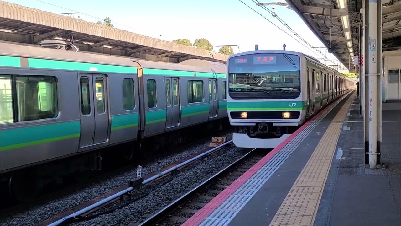 【JR東日本】E231系0番台101編成 上野駅到着 - YouTube