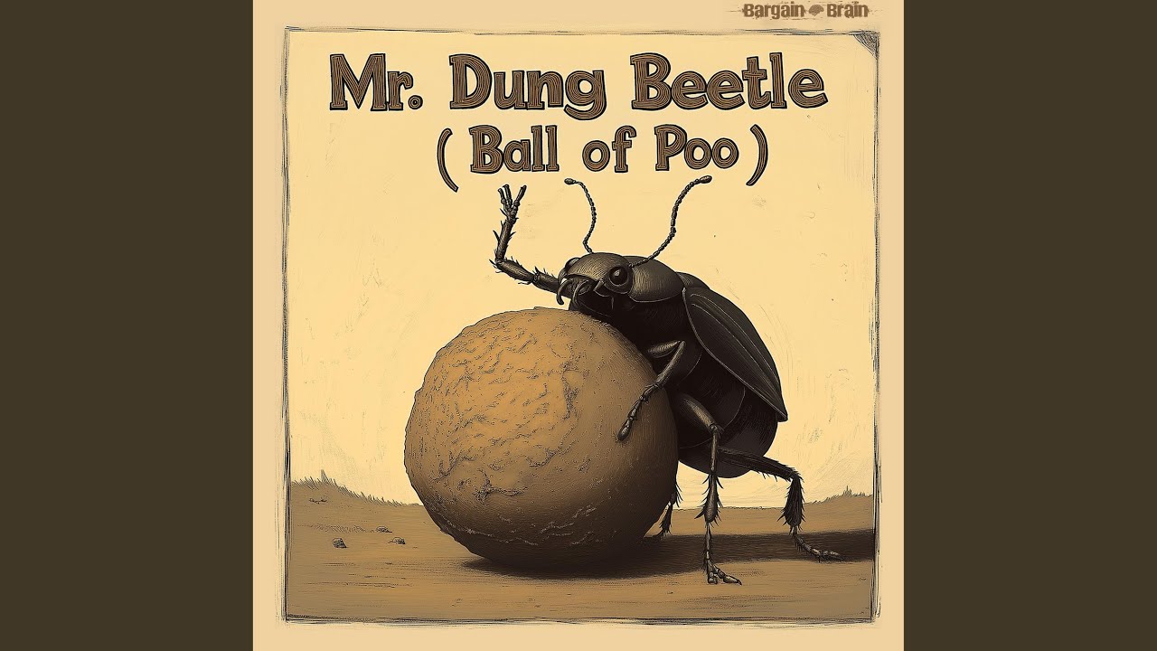 Mr. Dung Beetle (Ball of Poo) - YouTube