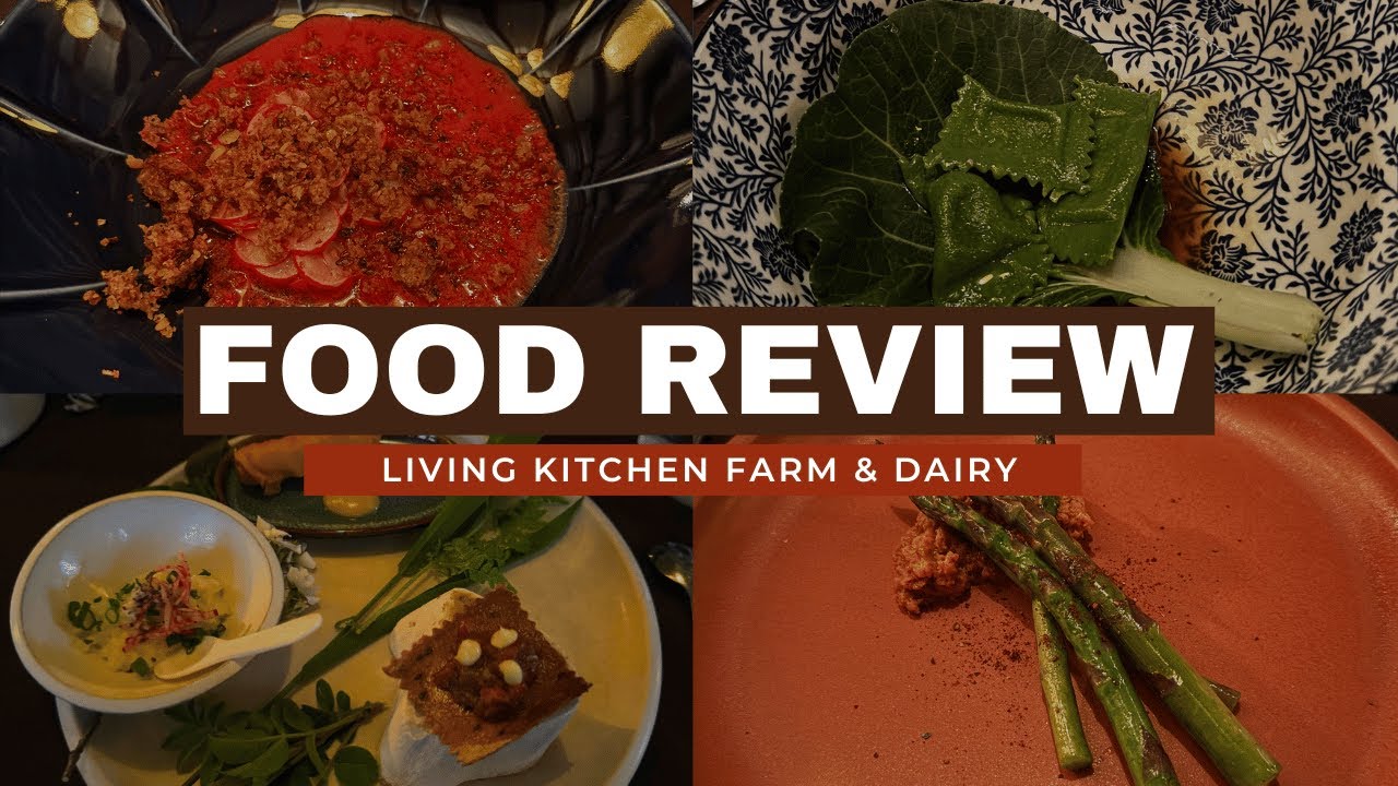 Living Kitchen Review || Jared Gleaton Eats || Best Ever Food Review ...