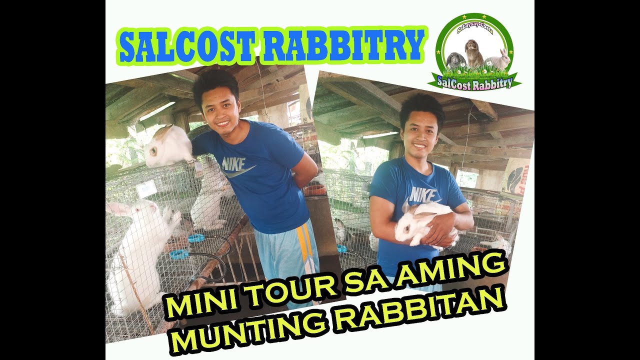 SalCost Rabbitry Mini Tour - YouTube