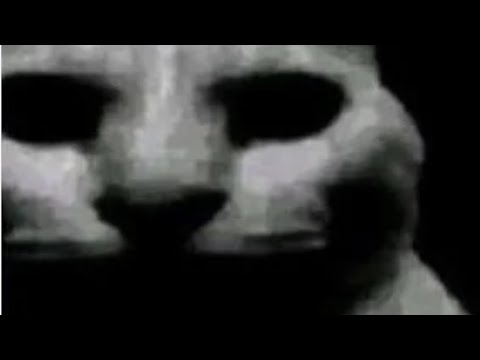 Full.stop.punctuation - YouTube