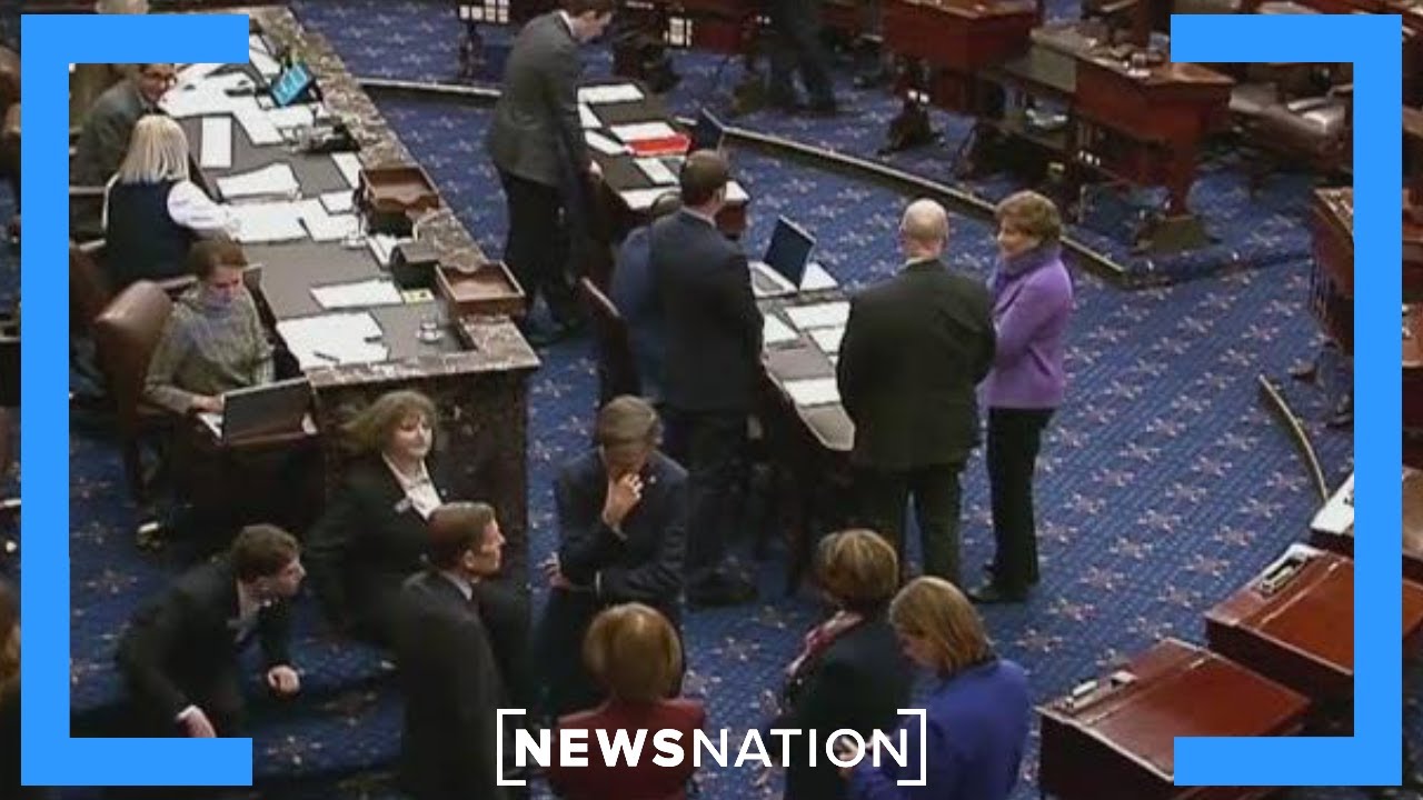 RFK Jr. receives enough Senate votes to lead HHS | NewsNation Live ...