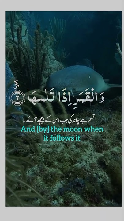 Pashton official search New trending telawat Quran YouTube video - YouTube