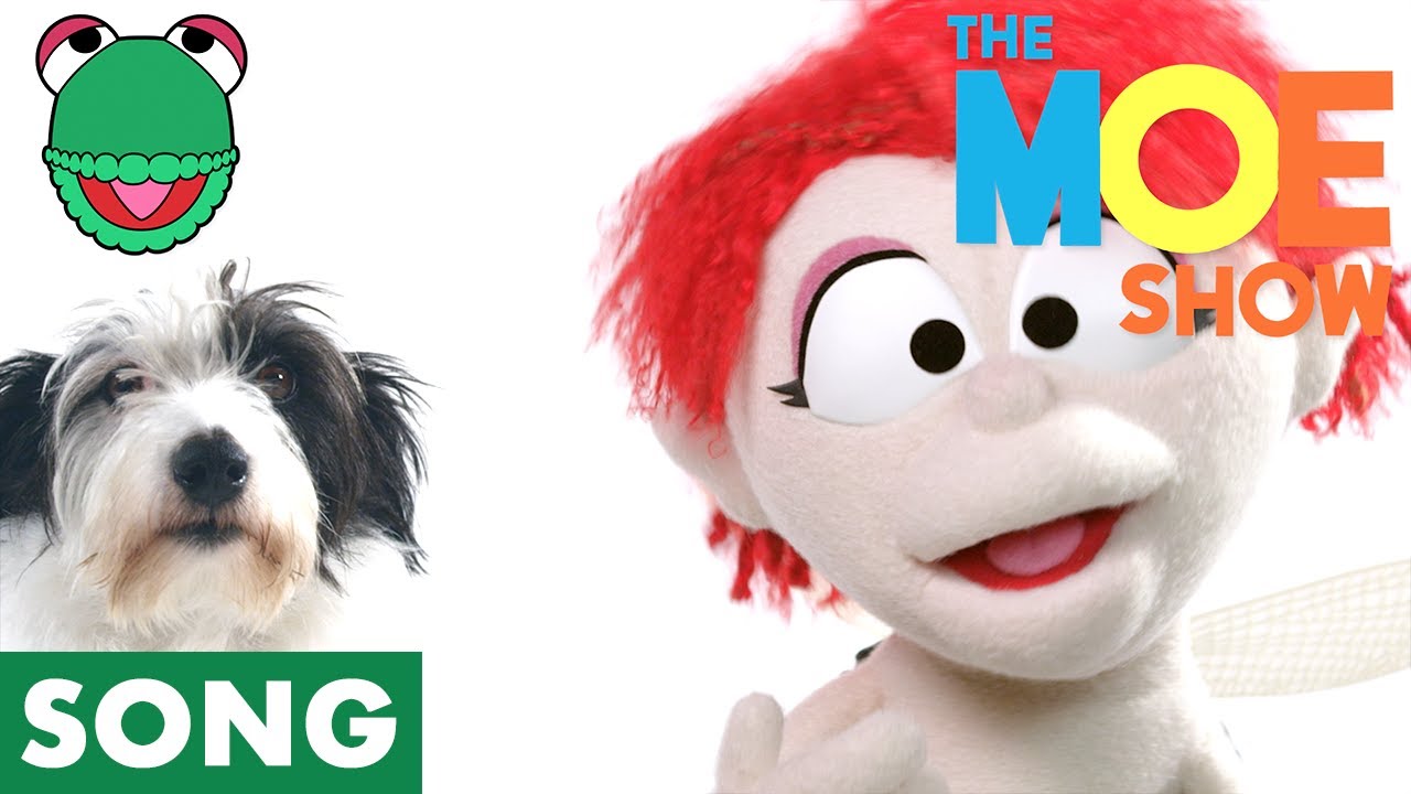 Pet Song | Kids Learn About Cats, Dogs, Birds and Fish | We Like Pets ...