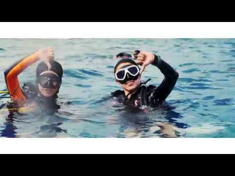 2018 BARREL SCUBA DIVING TRIP - YouTube