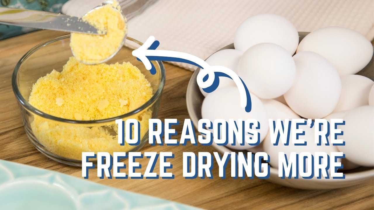 10 Reasons We're Freeze Drying More - YouTube
