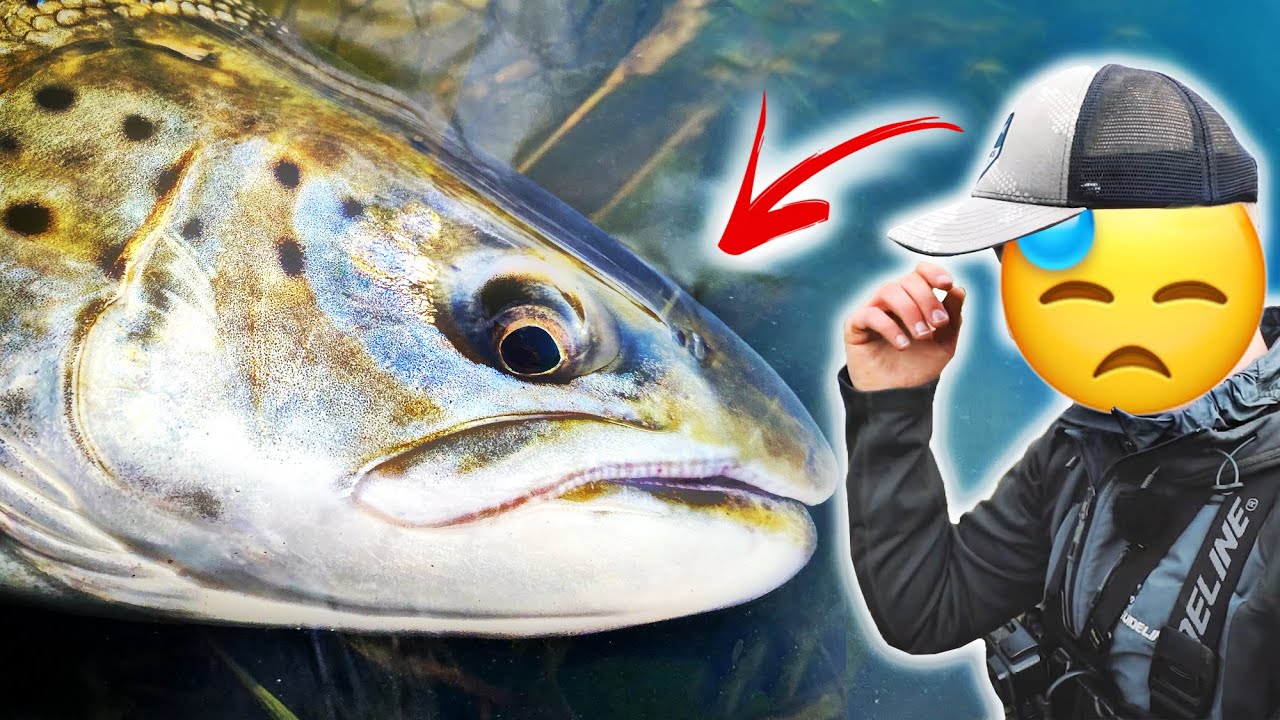 Expert In Loosing Fish!? - Fishing In Small River For Salmon And Sea ...