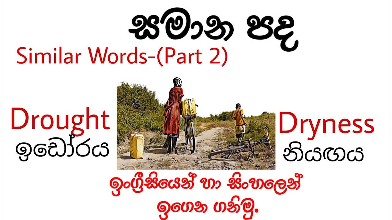 Similar Words 5 50 Learn English In similar-words-5-50-learn-english-in