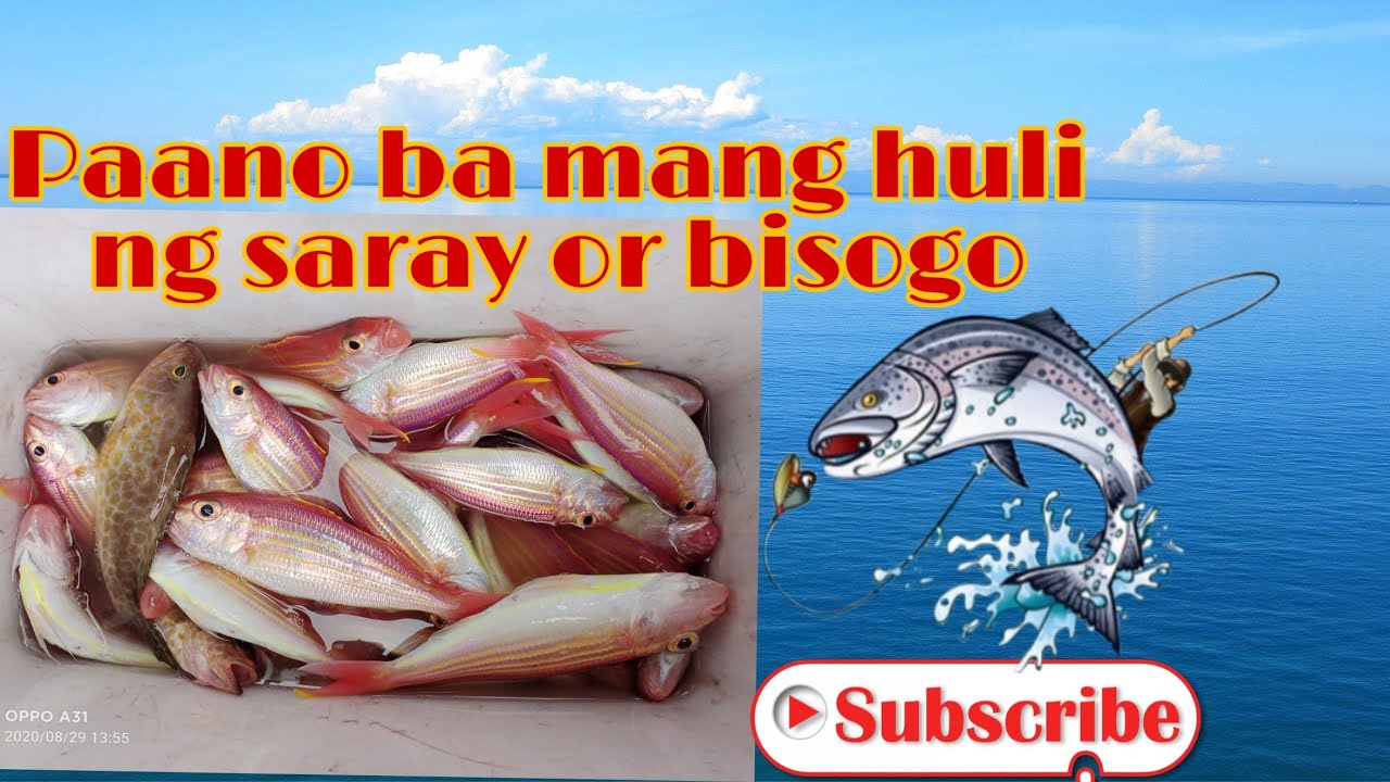 Paano ba mang huli ng bisogo or saray.#buhay #mangingisda - YouTube